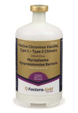Fostera Gold PCV MH Swine Vaccine, Killed Virus, 500mL By Zoetis