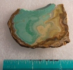 Fairfield Variscite Specimen Utah Rare