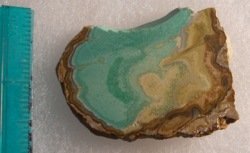 Fairfield Variscite Specimen Utah Rare
